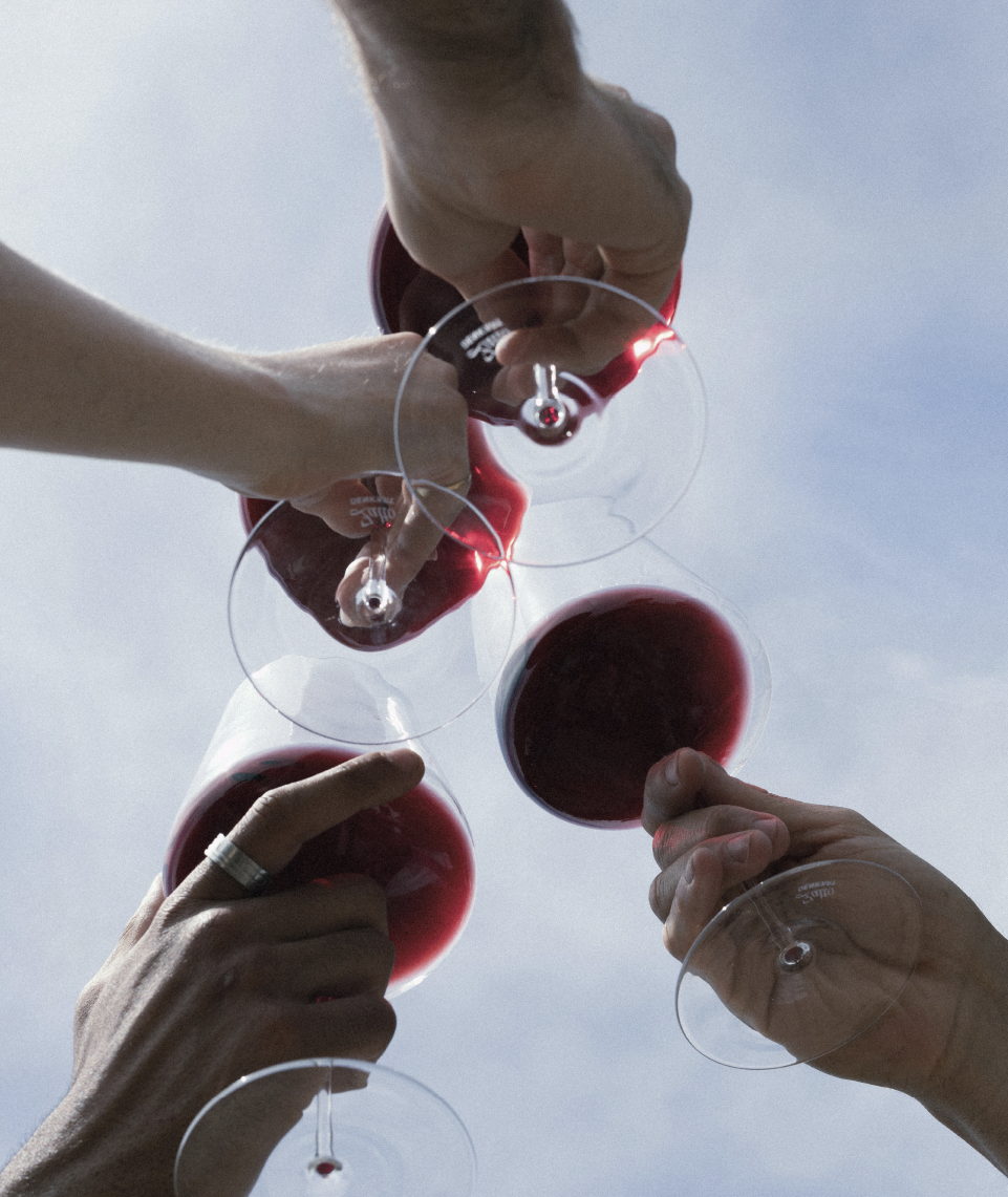 Libation Wines — Barossa Valley